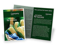 Corn Brochure Template Design and Layout, Download Now, 01882 ...