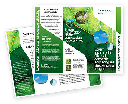 Botany Brochure Template Design and Layout, Download Now, 02176 ...
