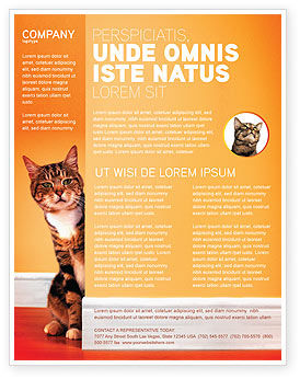 Curious Cat Flyer Template, Background in Microsoft Word, Publisher and ...