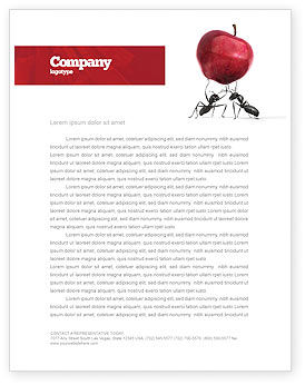 Air Force Letterhead Templates in Microsoft Word, Adobe Illustrator and ...