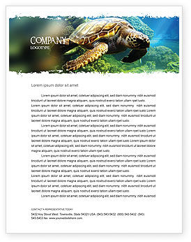 Sea Turtle Brochure Template Design and Layout, Download Now, 05237 ...