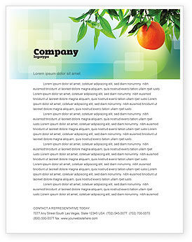 Orange Tree Letterhead Template, Layout for Microsoft Word, Adobe ...