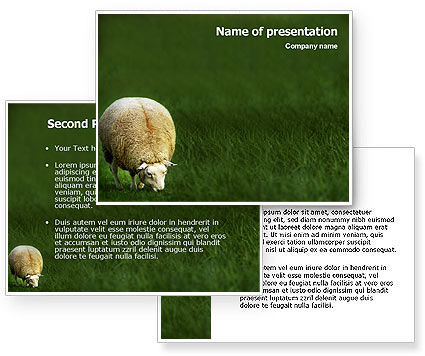 Sheep PowerPoint Template - PoweredTemplate.com | 3 Backgrounds, 3 ...