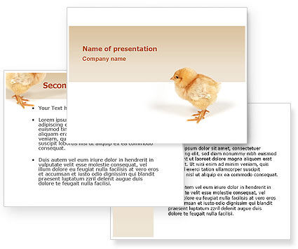 Chicken PowerPoint Template - PoweredTemplate.com | 3 Backgrounds, 3 ...