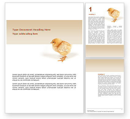 Plantilla de Word - pollo | 02737 | PoweredTemplate.com