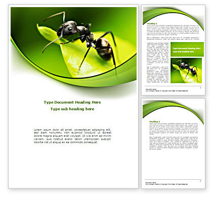 Ant PowerPoint Template, Backgrounds | 08356 | PoweredTemplate.com