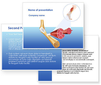 Muscle PowerPoint Template - PoweredTemplate.com | 3 Backgrounds, 3 ...
