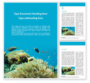 Underwater Photo of Coral Reef - Free Presentation Template for Google ...