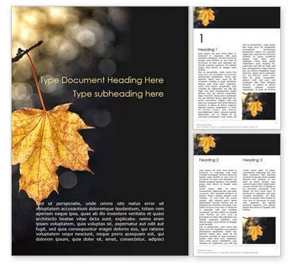 32 Free Maple Leaf Word Templates | PoweredTemplate.com