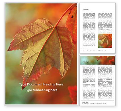 Maple Leaf at Fall Word Template 16064 | PoweredTemplate.com