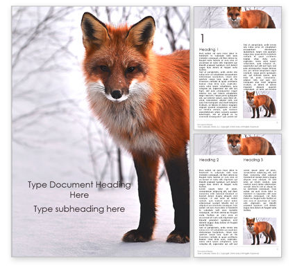 Plantilla de Word gratis - red fox in winter | 16201 | PoweredTemplate.com