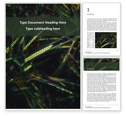 Word Templates - Free and Professional Word Themes 2017