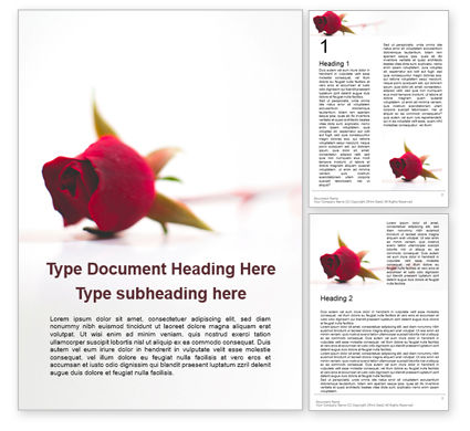 Beautiful Word Templates Design, Download now | PoweredTemplate.com