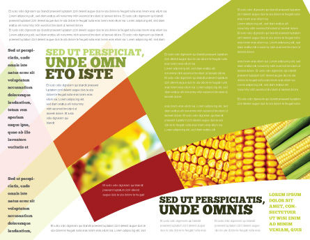 Maize Brochure Template Design and Layout, Download Now, 00973 ...