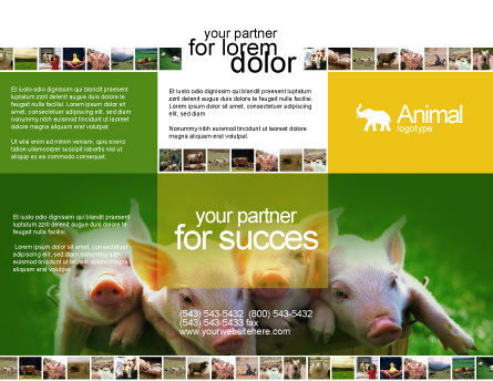 Pig Brochure Template Design and Layout, Download Now, 01708 ...