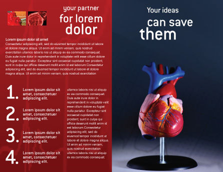 Heart Model Brochure Template Design and Layout, Download Now, 01960 ...