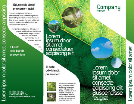 Botany Brochure Template Design and Layout, Download Now, 02176 ...