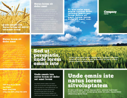 Grain Brochure Template Design and Layout, Download Now, 02248 ...