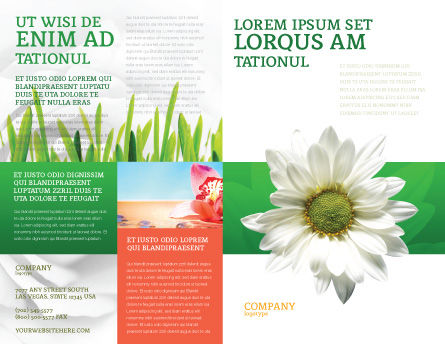 Ox-eye Daisy Brochure Template Design and Layout, Download Now, 02533 ...