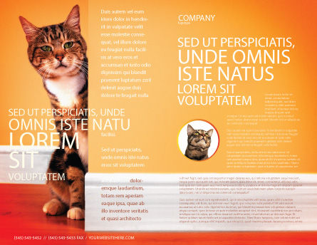 Curious Cat Brochure Template Design and Layout, Download Now, 02560 ...