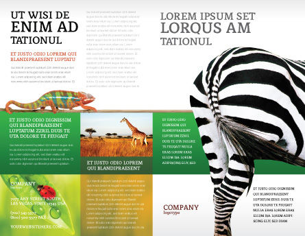 Zebra Brochure Template Design and Layout, Download Now, 02564 ...