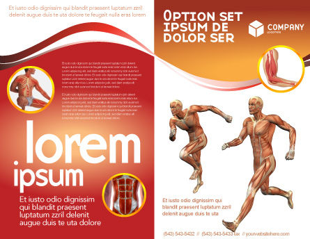 Muscular System Brochure Template Design and Layout, Download Now ...