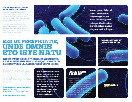 Bacteriology Brochure Template Design and Layout, Download Now, 03702 ...