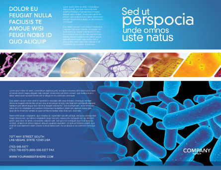 Bacillus Brochure Template Design and Layout, Download Now, 03757 ...