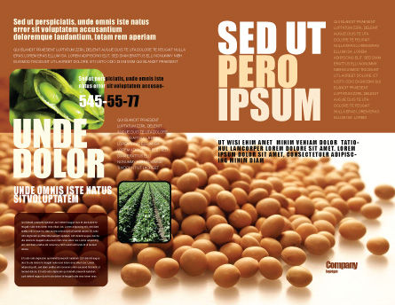 Soy Beans Brochure Template Design and Layout, Download Now, 06609 ...