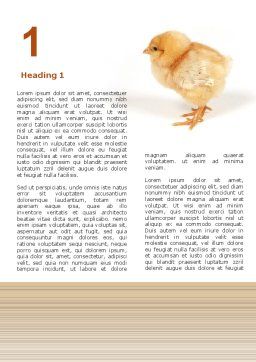 Plantilla de Word - pollo | 02737 | PoweredTemplate.com