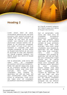 Visueel Verslag Word Template | 09501 | PoweredTemplate.com