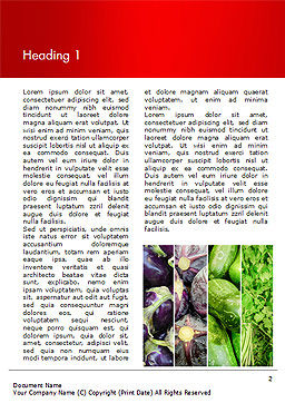 Colorful Rainbow Food Word Template 15235 | PoweredTemplate.com