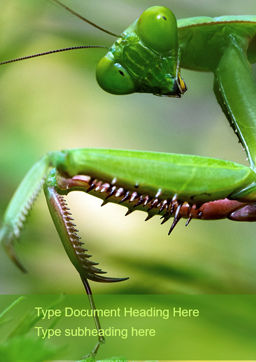 Mantis Word Template 15647 | PoweredTemplate.com