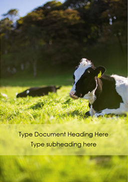 A Glorious Cow on a Green Field Word Template 15981 | PoweredTemplate.com