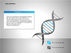 DNA Strand Diagrams - Presentation Template for Google Slides and ...
