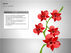 Orchids Shapes - Free Presentation Template for Google Slides and ...