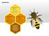 Bee Diagrams - Presentation Template for Google Slides and PowerPoint ...