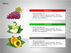 Free Fruits Collection - Free Presentation Template for Google Slides ...