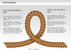 Rope Diagrams - Free Presentation Template for Google Slides and ...