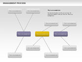 Management Process Flowchart - Presentation Template for Google Slides ...