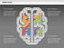 Brain Chart - Presentation Template for Google Slides and PowerPoint ...