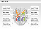Brain Chart - Presentation Template for Google Slides and PowerPoint ...