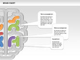 Brain Chart - Presentation Template for Google Slides and PowerPoint ...