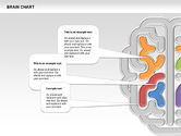 Brain Chart - Presentation Template for Google Slides and PowerPoint ...