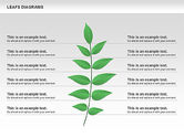 Leafs Diagram - Presentation Template for Google Slides and PowerPoint ...