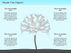 People Tree Diagram - Free Presentation Template for Google Slides and ...