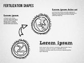 Fertilization Process Shapes - Free Presentation Template for Google ...