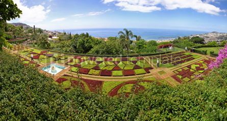 Panoramic view of Tropical Botanical Garden in Funchal city Madストックフォト60140