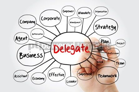 Delegate mind map flowchart with marker business concept for pr Foto 67932