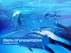 Dolphins Under The Sea - Free Presentation Template for Google Slides ...